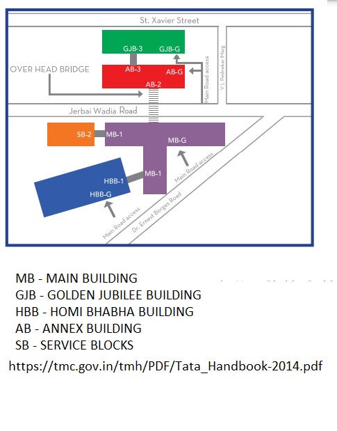 TMH Services & Timing